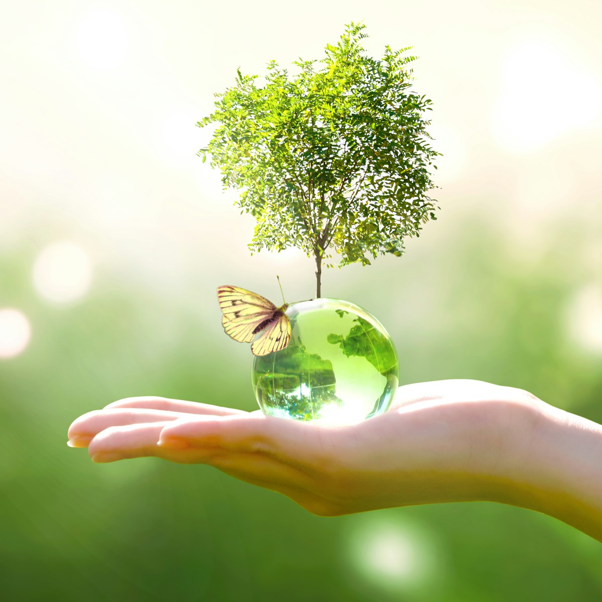 Biological Sciences Living World Topic Science And AU biological-sciences-living-world-topic-science-and-au